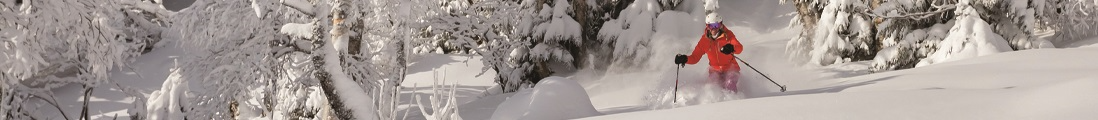 Vice President, Resort Finance | Sugarbush Resort
